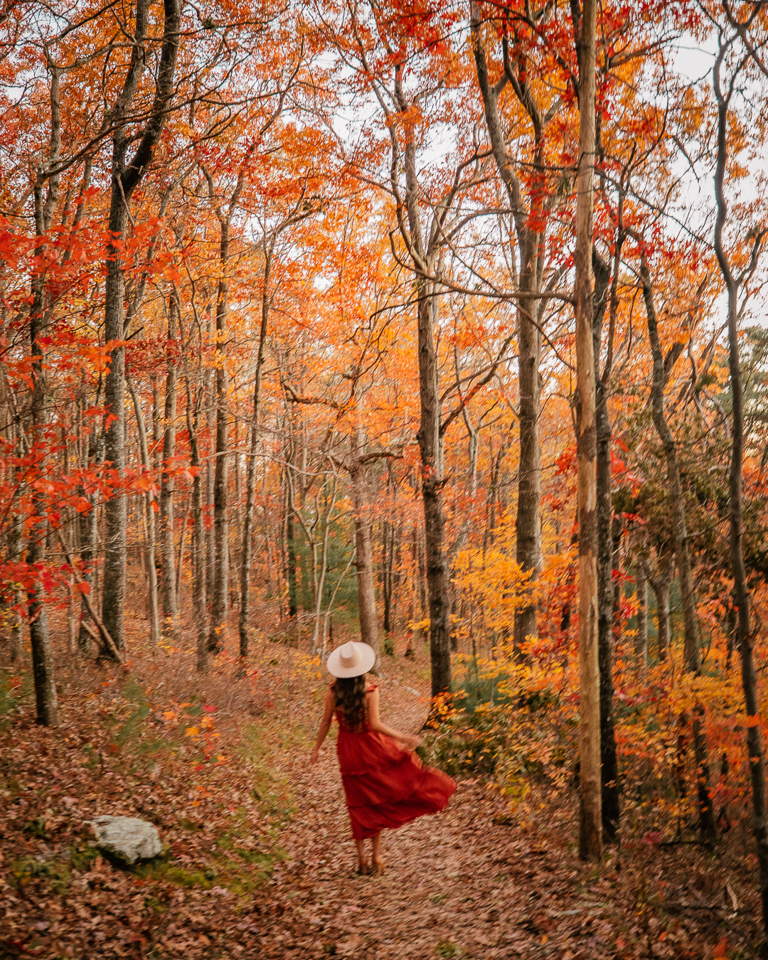 Stunningly Beautiful Places in Georgia You Have to Visit - GoAnnieWhere
